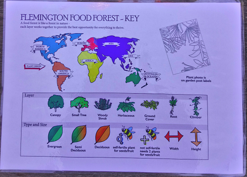 A Teaching Food Forest - Transition Australia