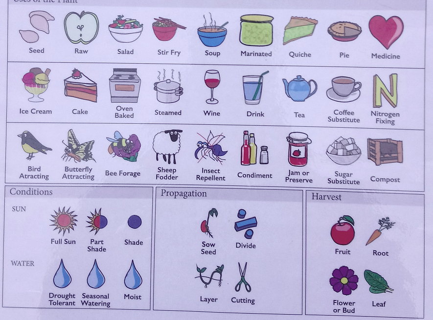 A Teaching Food Forest - Transition Australia