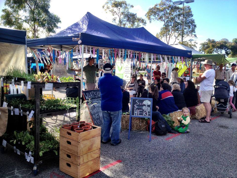 Transitioning Western Australia, one group at a time - Transition Australia