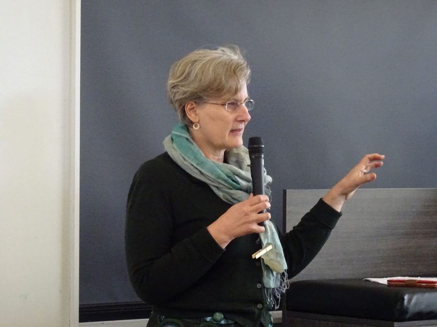 Transition to a Safe Climate 2019 - Transition Australia