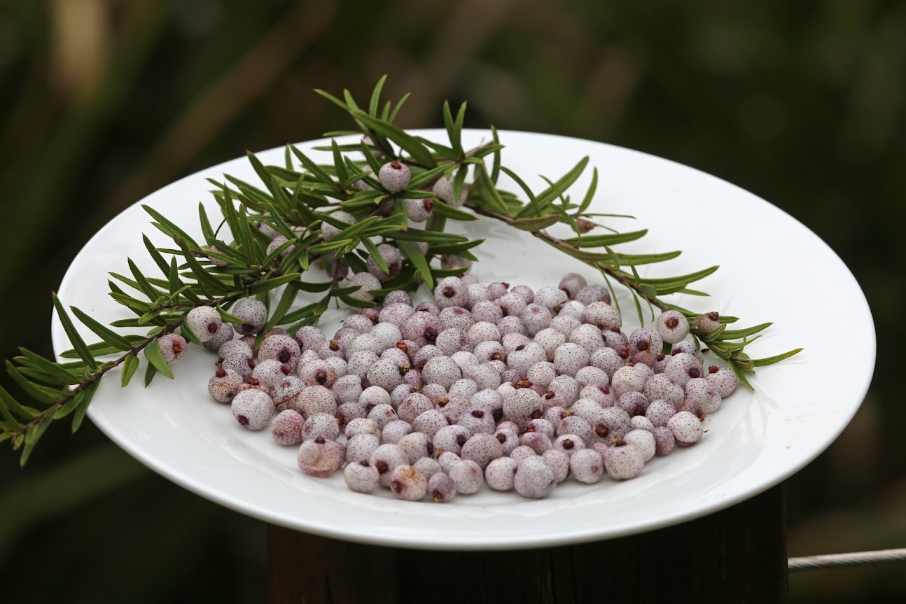 E is for Edible Gardens, Electricity and Earth Buildings - Transition ...