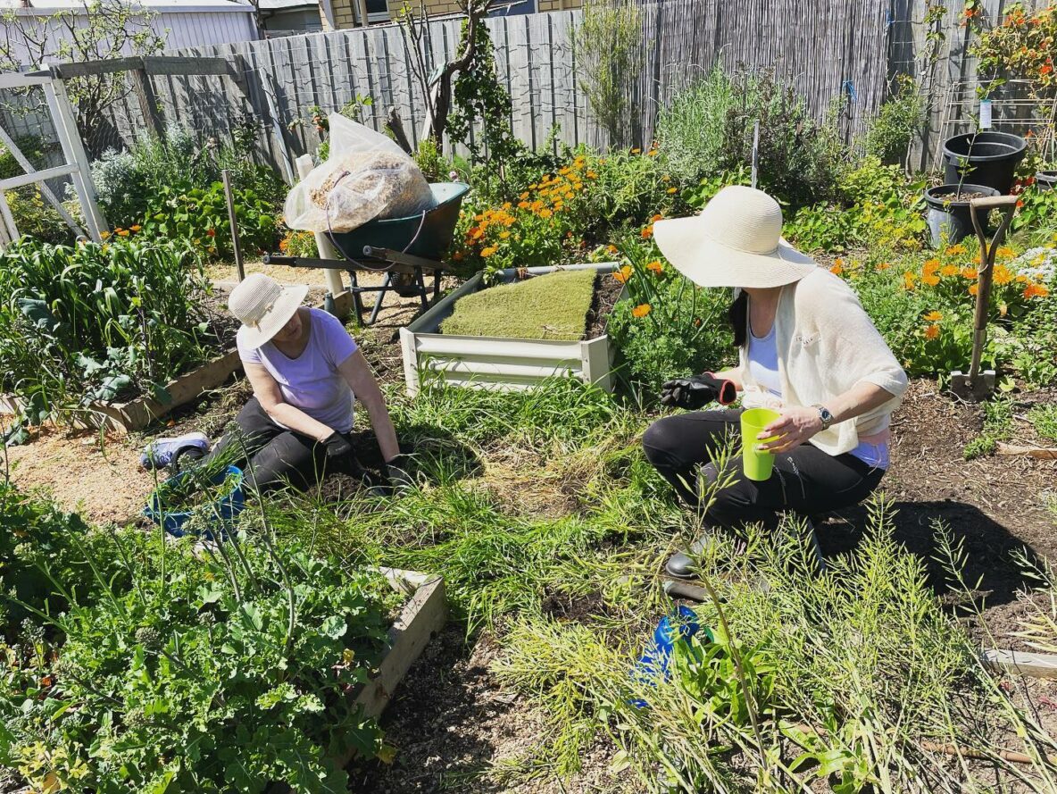 Stories of Transition Nov 2022 - Transition Australia