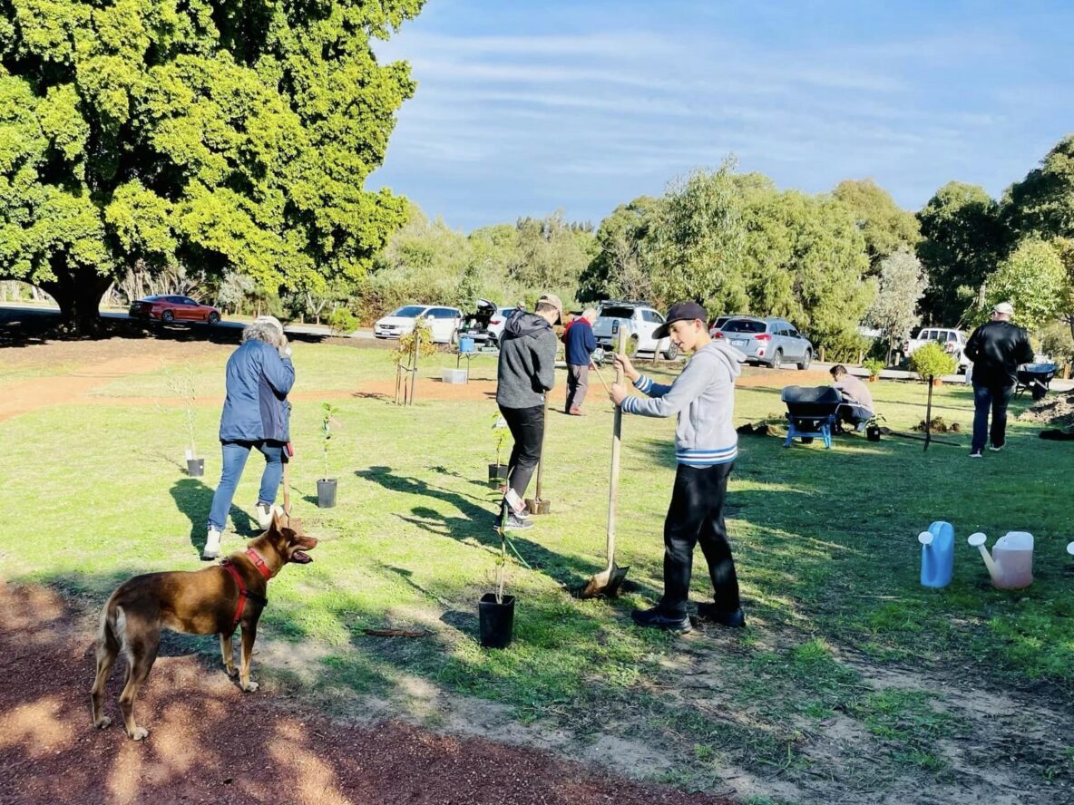 Community Food Forest - Transition Australia