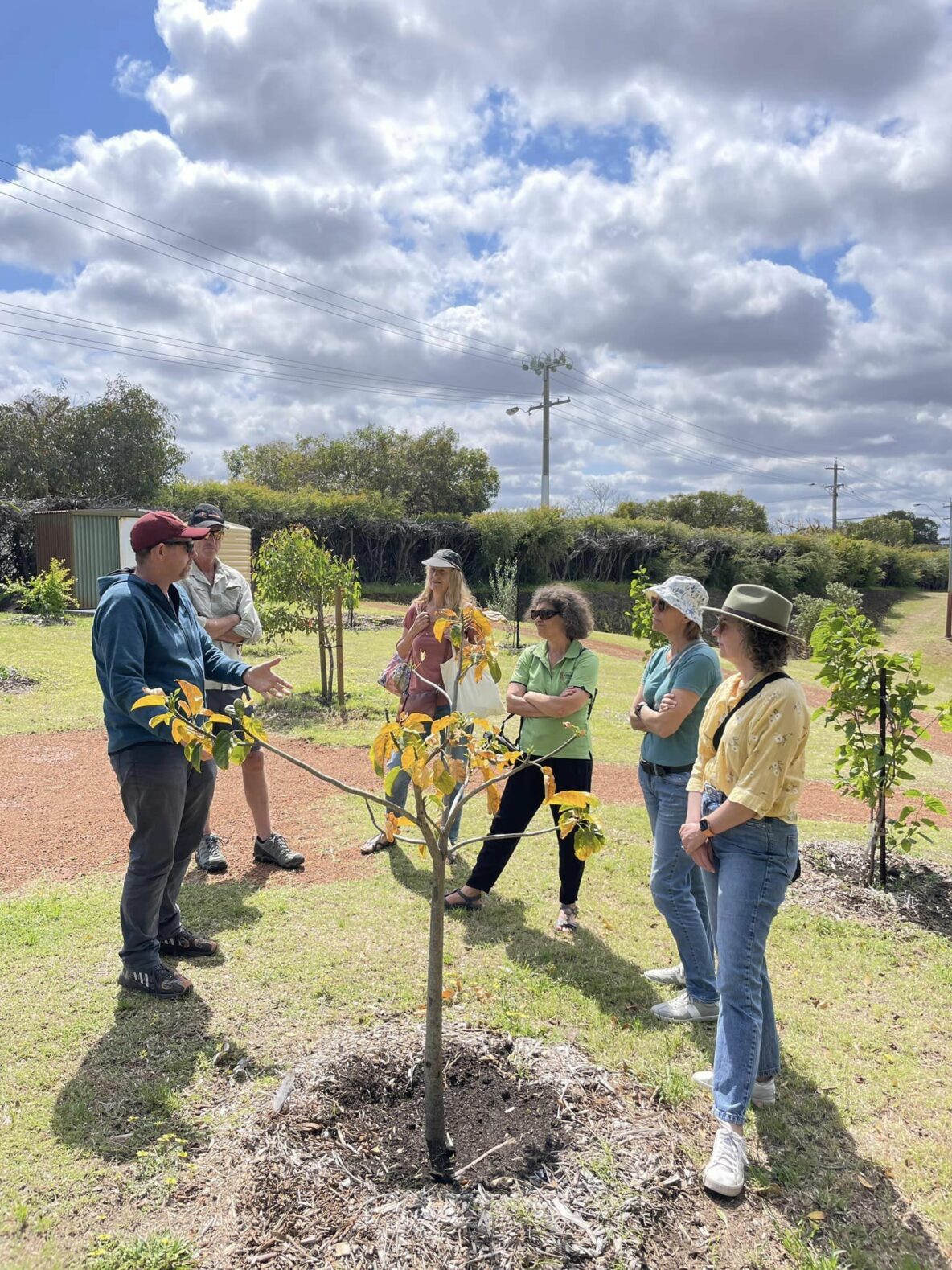 Transition Town Vincent - Transition Australia