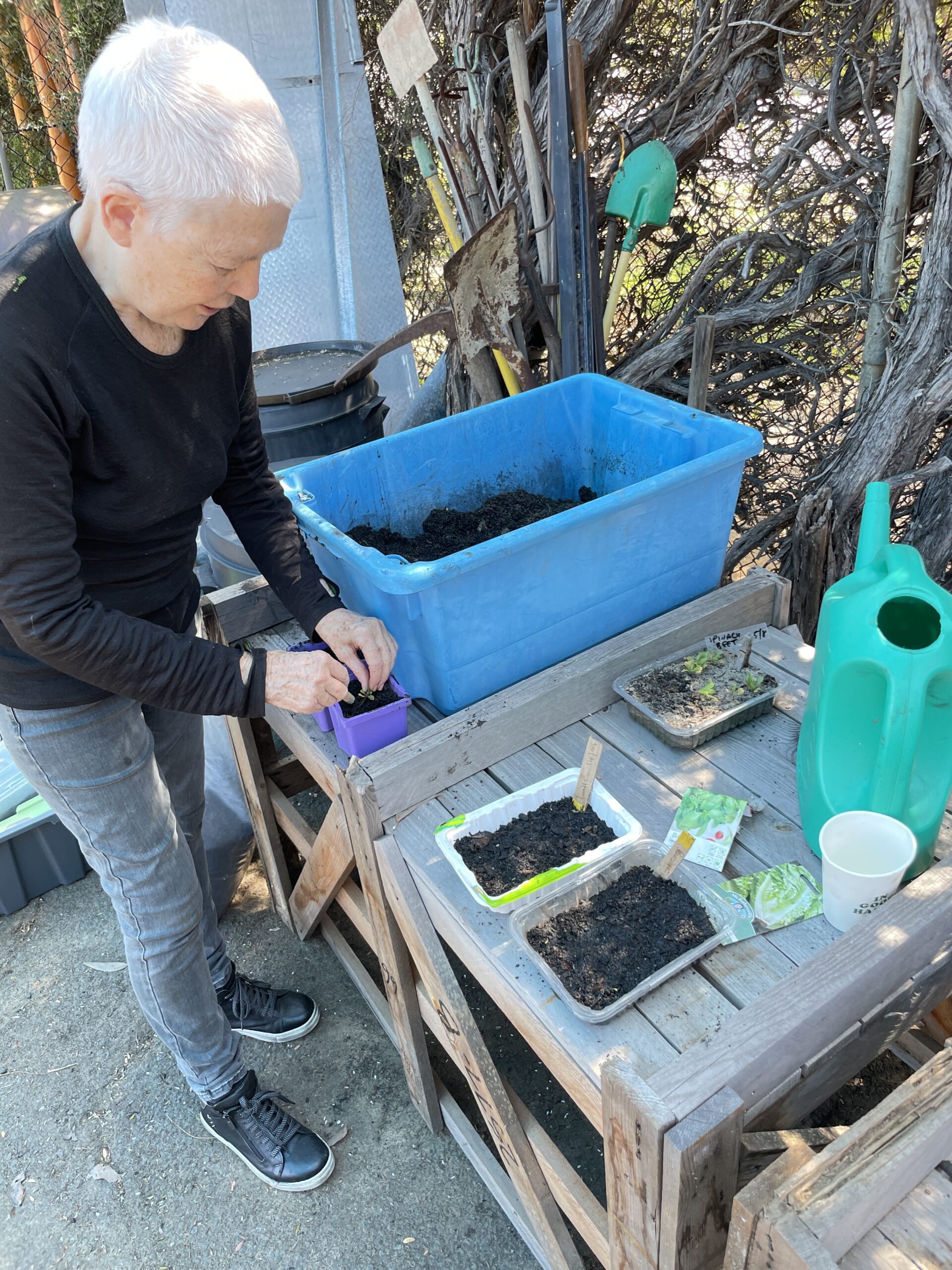 The Potting Shed - Transition Australia