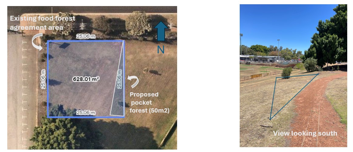 Black Cockatoo Pocket Forest - Transition Australia